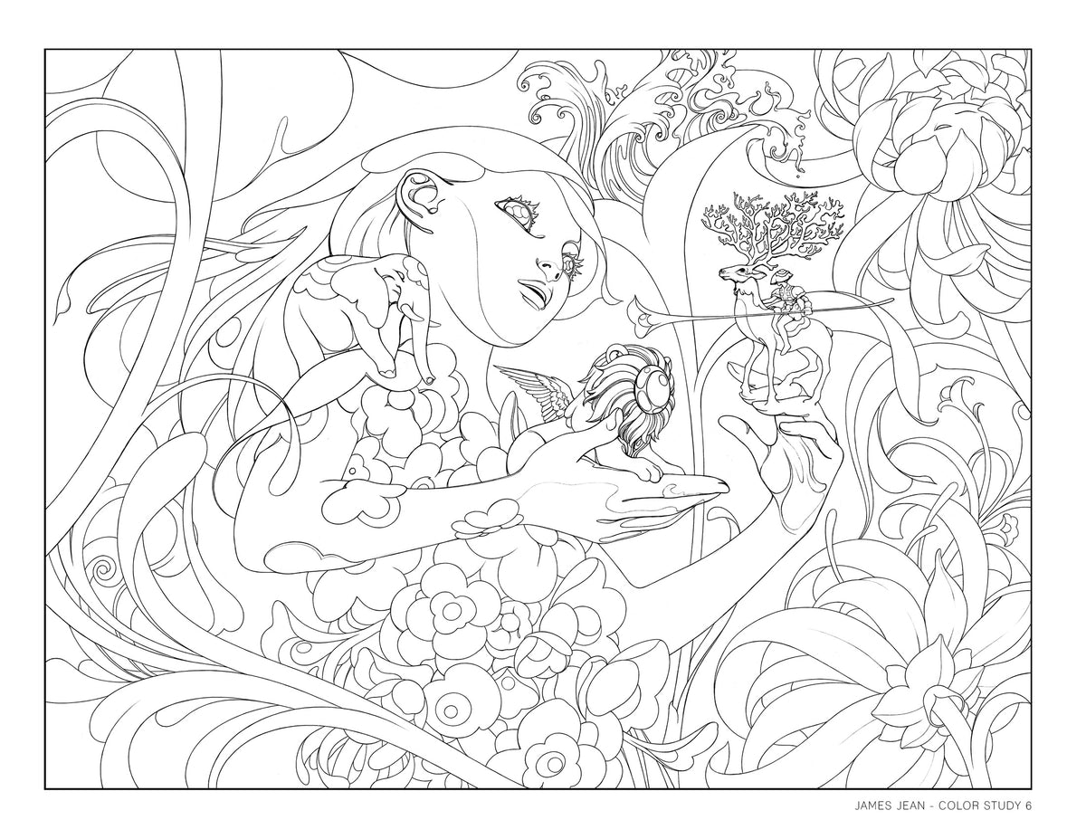 Color Study "Forager" Pack – James Jean | Store