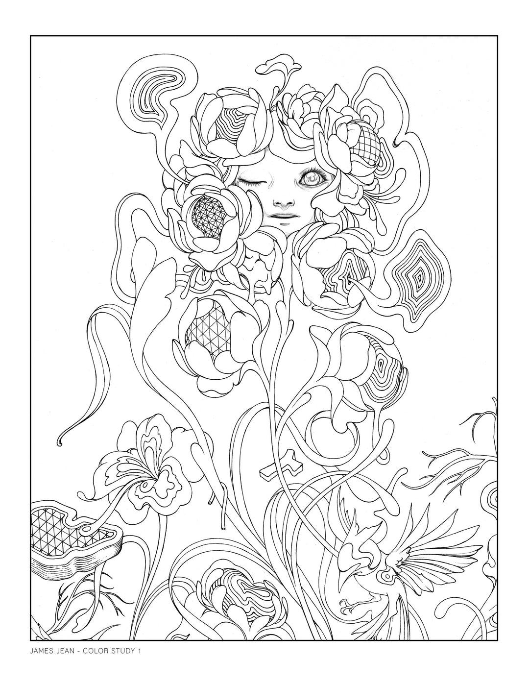 James Jean Color Study Pack – James Jean | Store